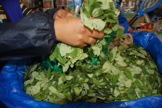 Cocaleros del Chapare: Aportamos Bs 4 por cada paquete de 100 libras de ...