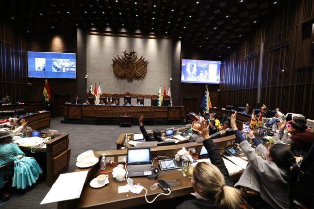El MAS se une en el Senado y sanciona la Ley del Oro