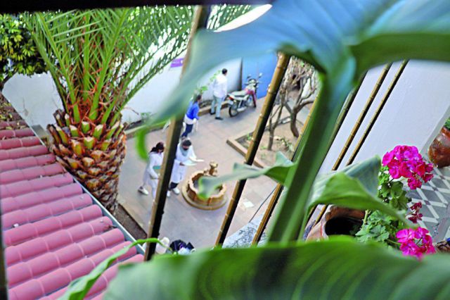 Cáncer: ¿Liname incluirá fármacos monoclonales?