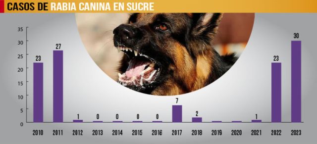 Récord de rabia canina de los últimos 12 años