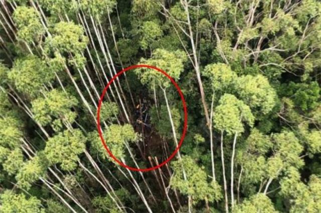Hallado en la selva brasileña un helicóptero con cuatro pasajeros ... Hallado en la selva brasileña un helicóptero con cuatro pasajeros ...