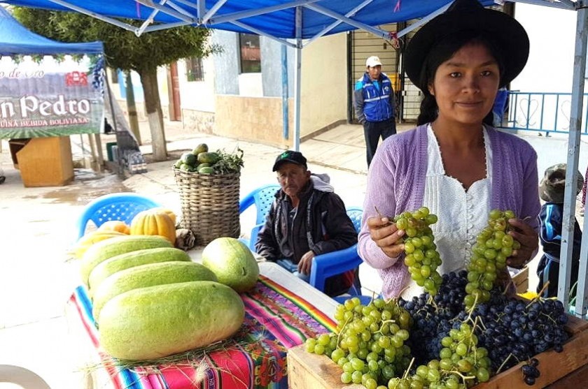 Alistan la octava versión de la feria del singani en San Lucas