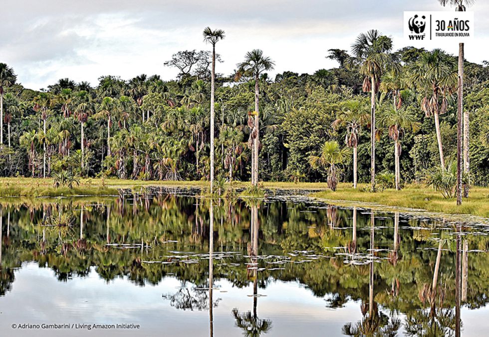Bolivia: Reserva Manuripi cumple 50 años