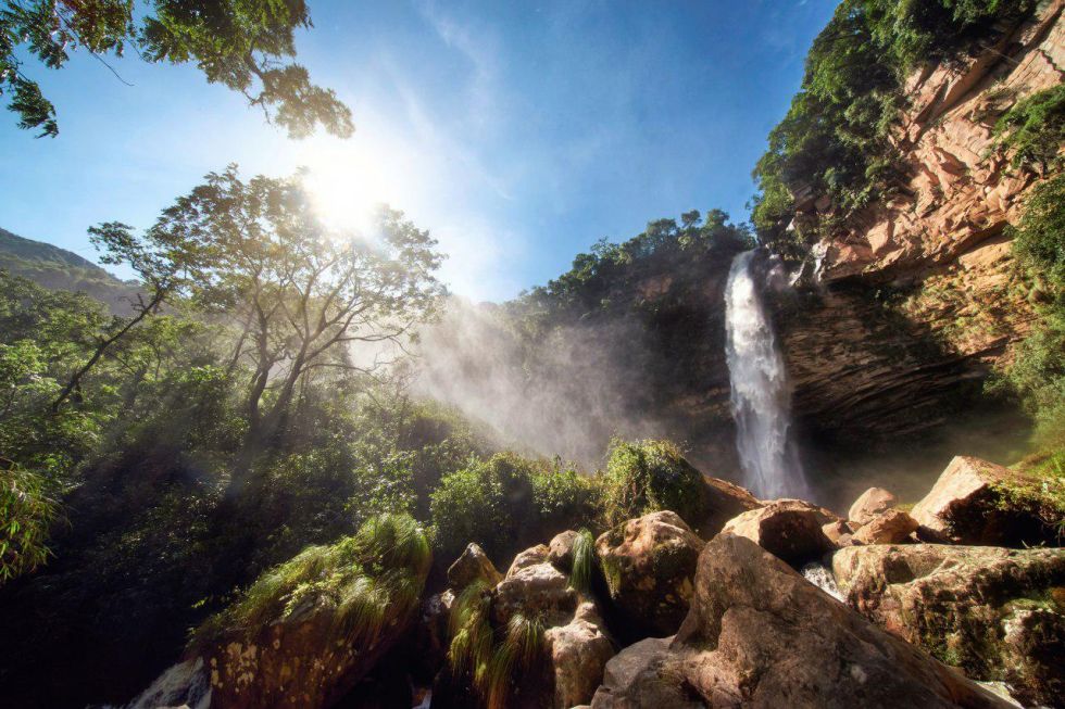 El llamado de FANCESA a preservar la naturaleza