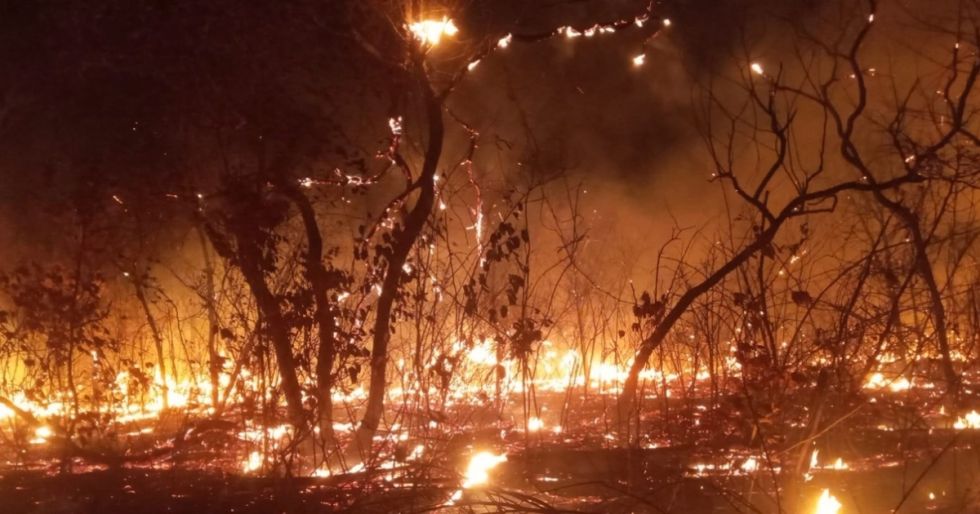 Roboré clama por atención y alertan un nuevo ciclo de incendios