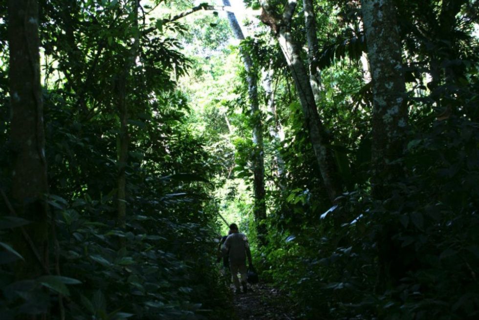 Declaran a la reserva ‘El Choré’ como Parque Nacional y Área Natural de ...