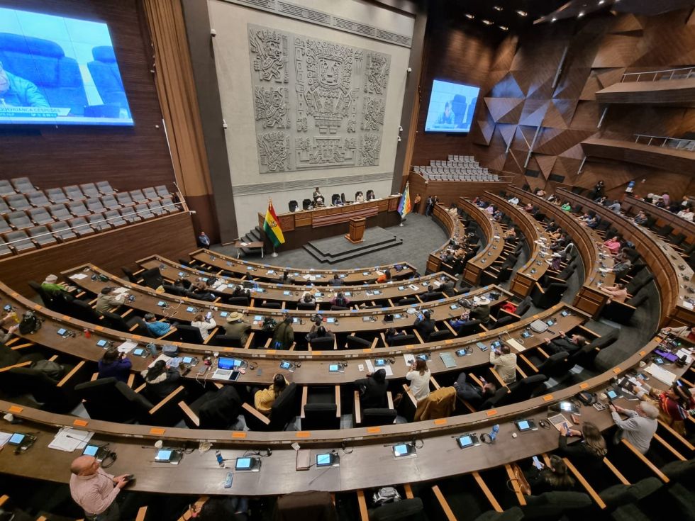 Elapas: La ALP decide promulgar la Ley 248