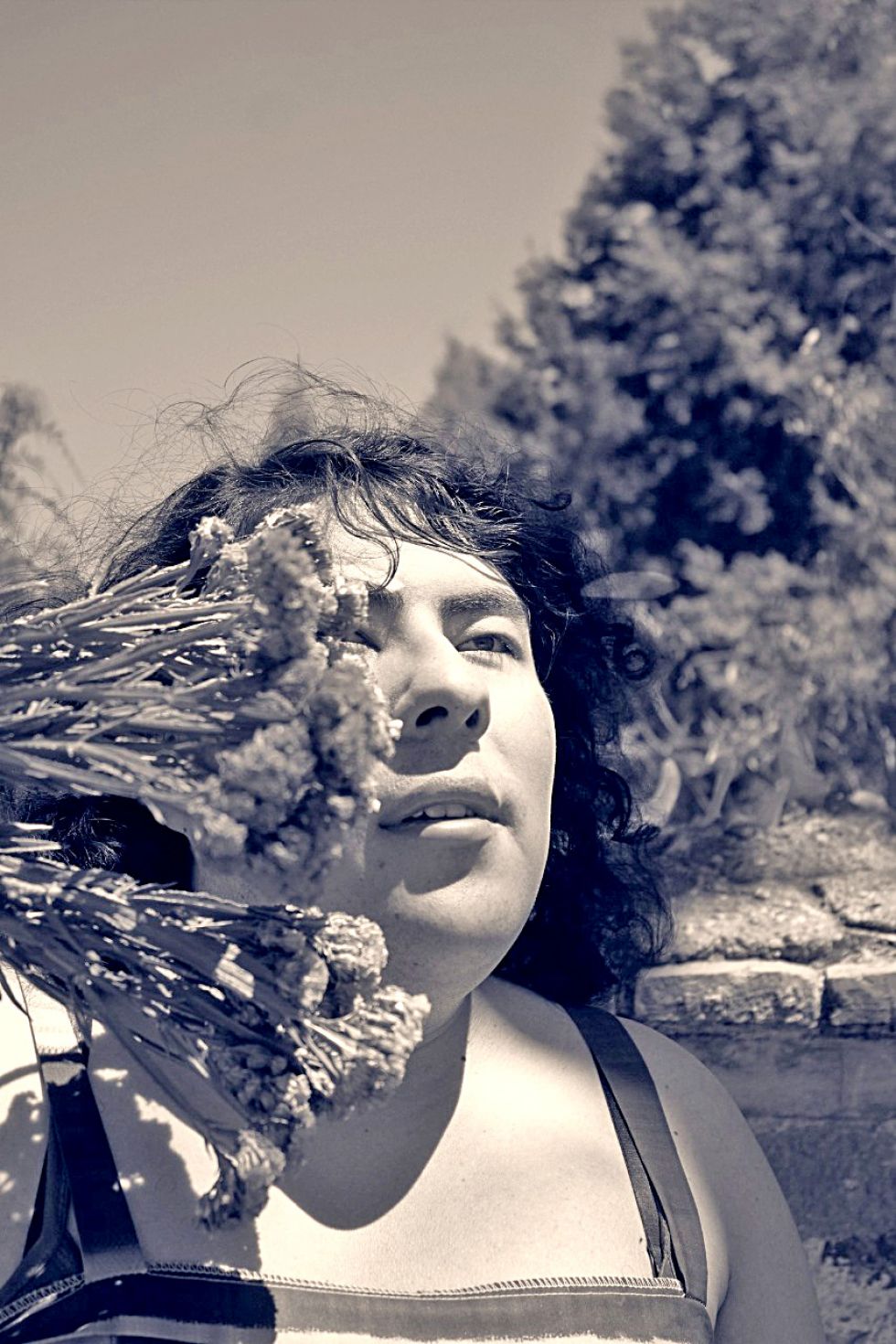 POESÍA JOVEN CHUQUISAQUEÑA: Andrea Solón Romero