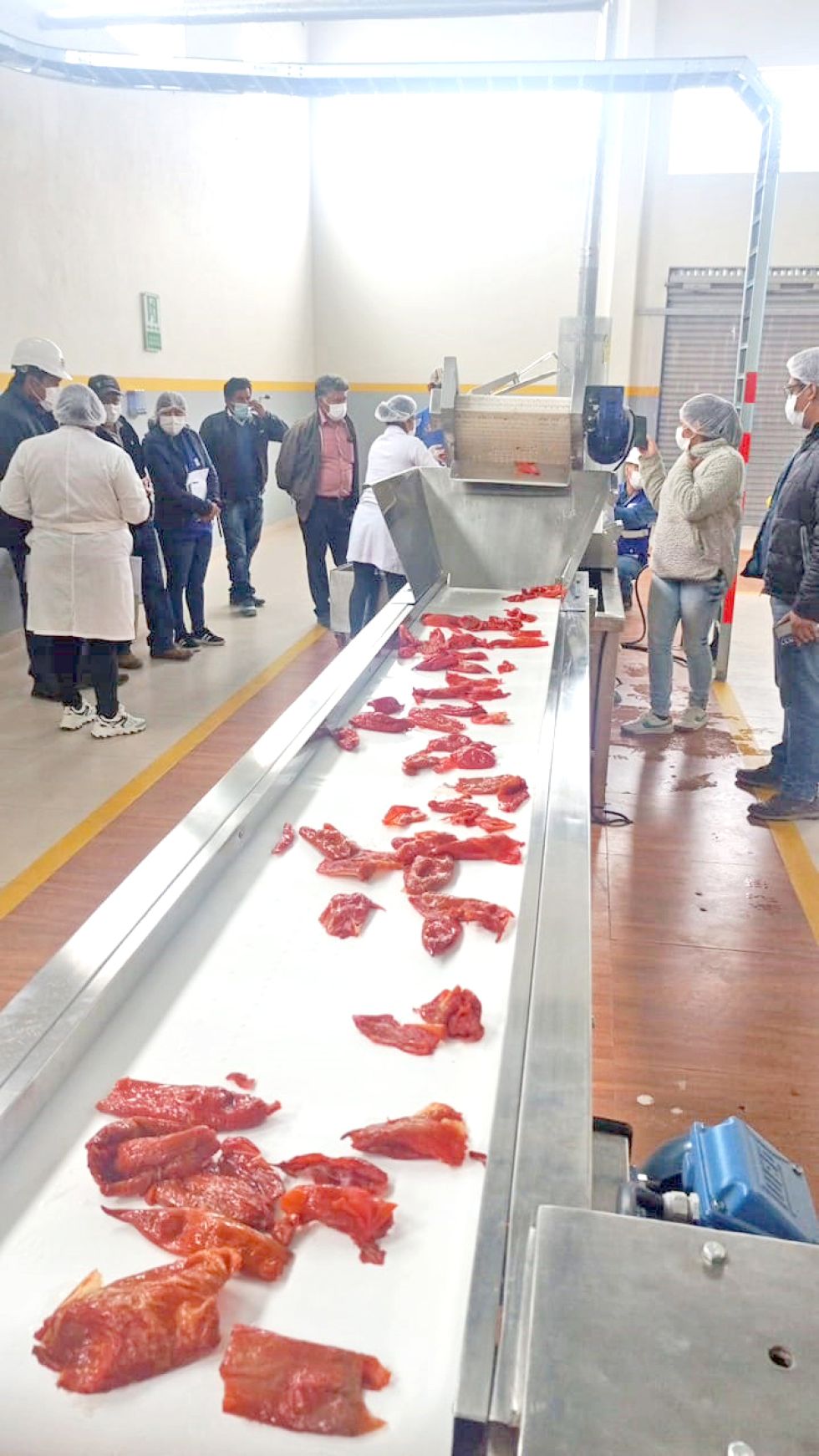 Planta industrial de ají necesita Bs 2,5 millones